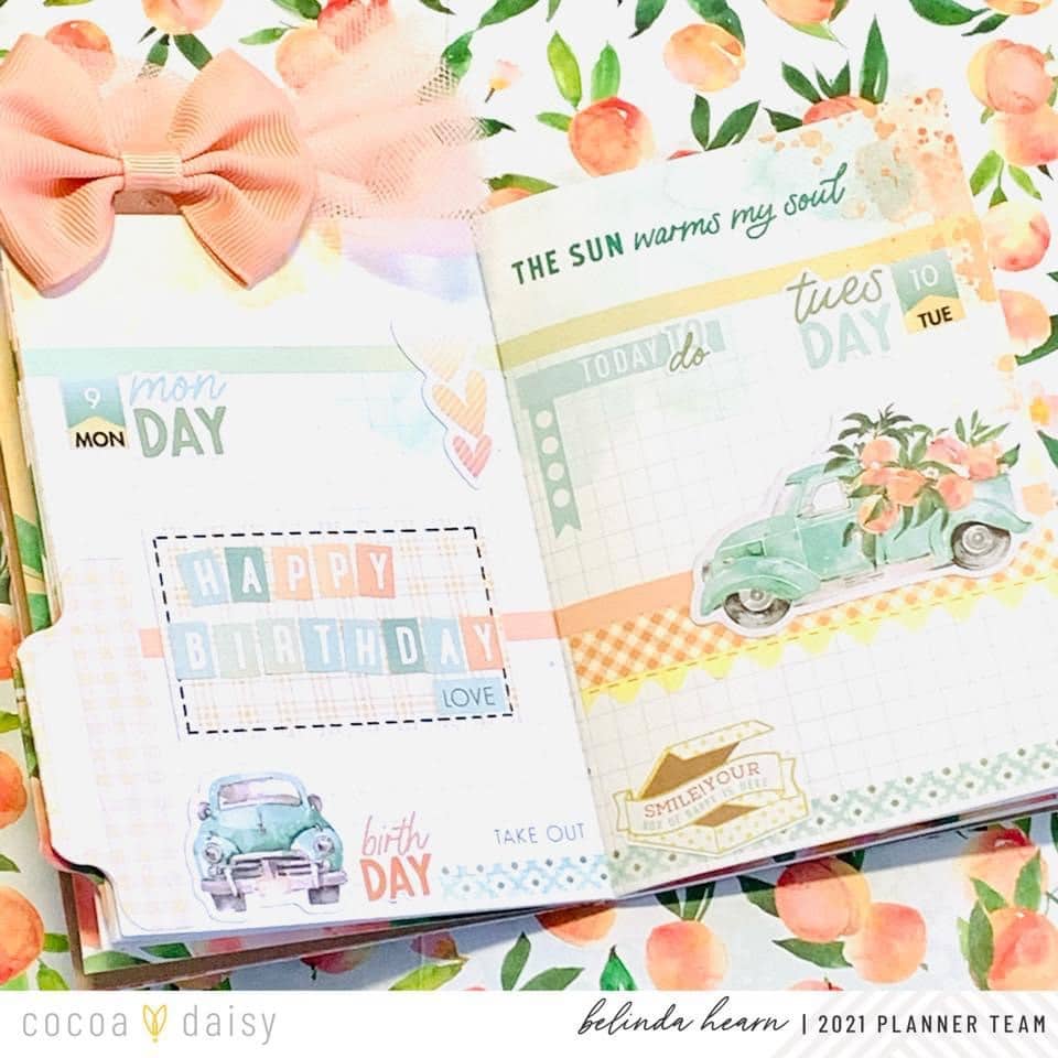 Weekly Planning with the Peach Ridge Collection – Cocoa Daisy