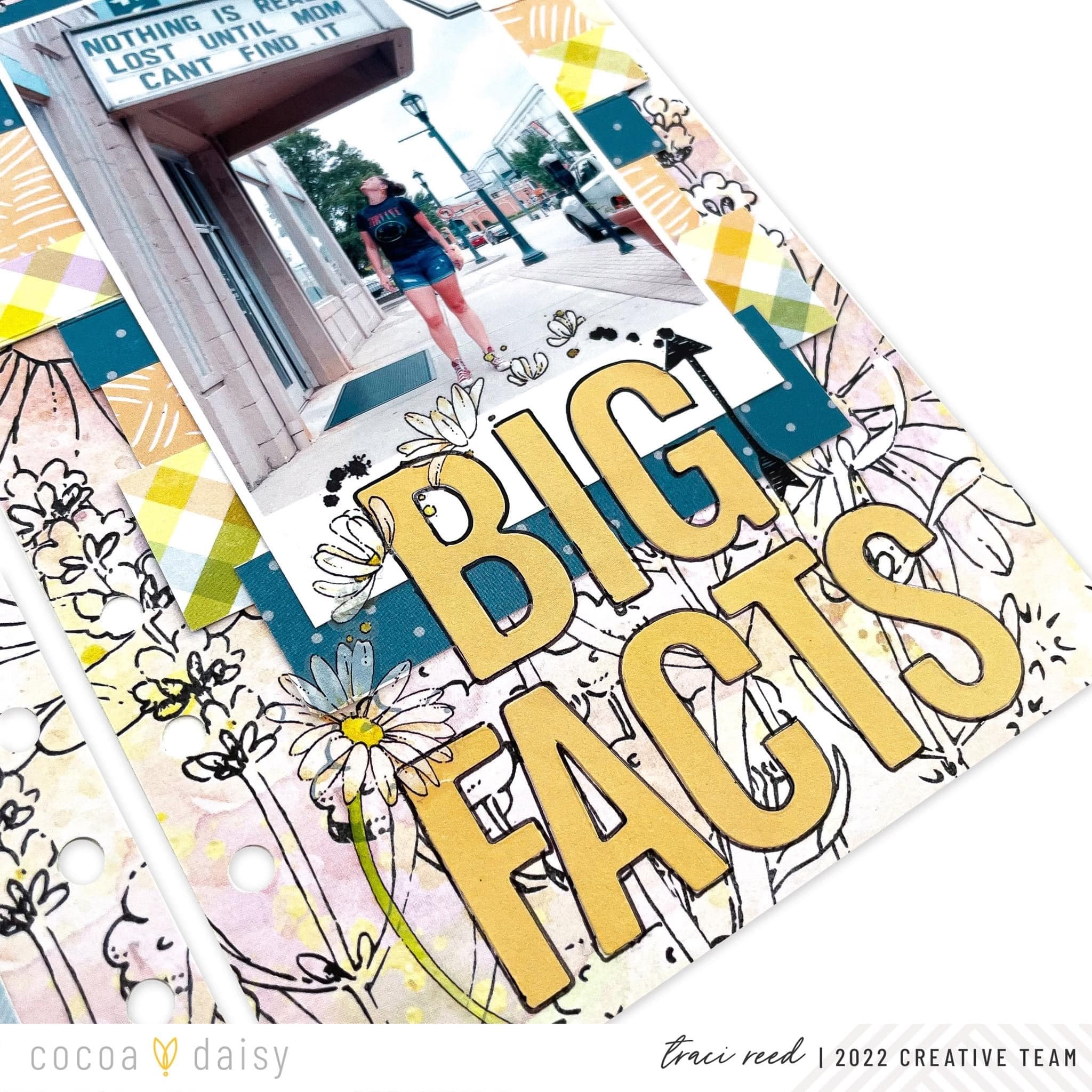 Tips for Titles: the Daisy Fields Collection – Cocoa Daisy