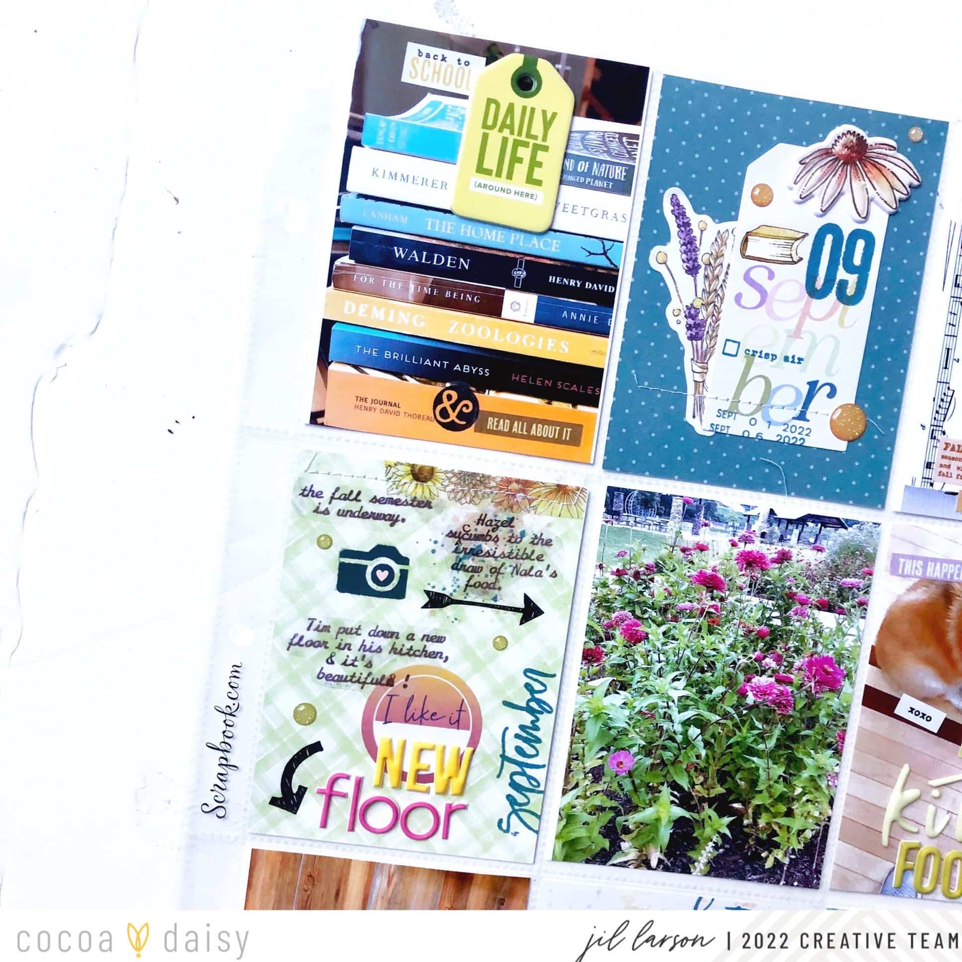 Creative Captions with the Daisy Fields Collection – Cocoa Daisy