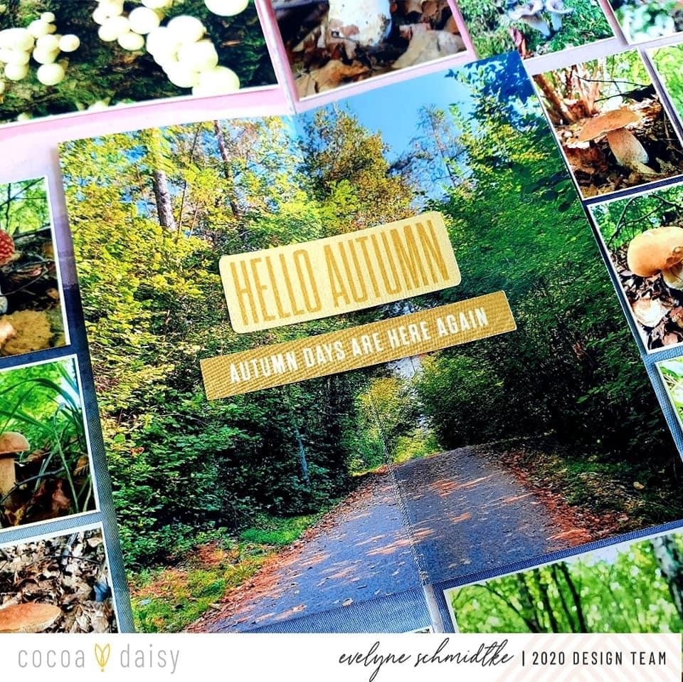 Documenting the Cool Crisp Colors of Autumn Starts Now! – Cocoa Daisy