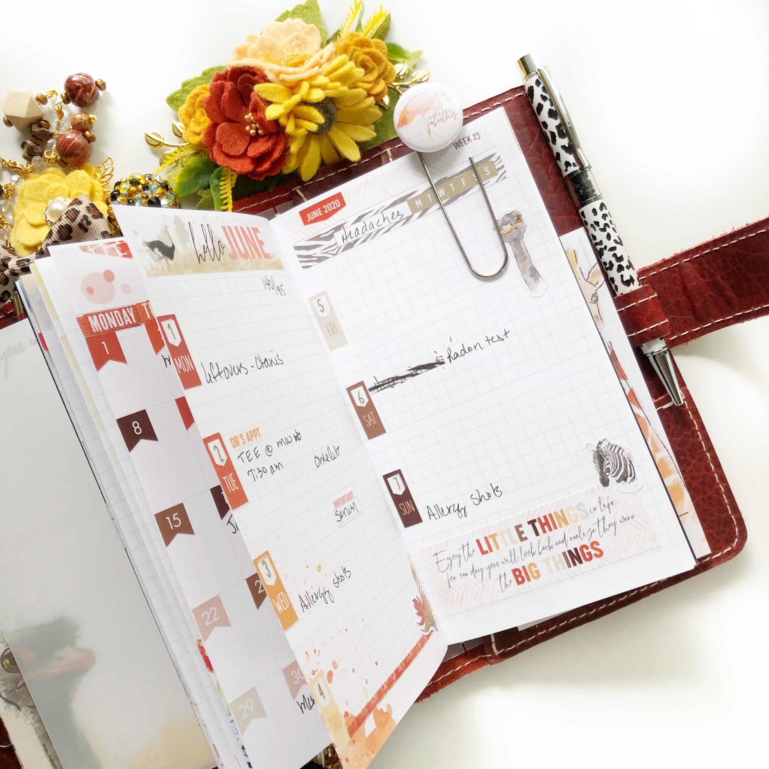 How I Use My Daisy Weeks – Cocoa Daisy