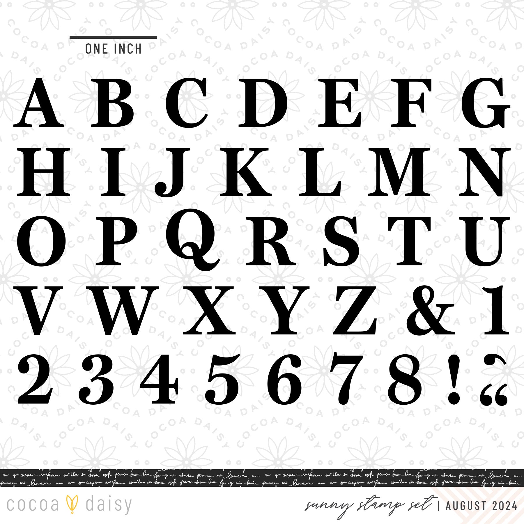 Sun-drenched "Sunny" Alpha Stamp Set August 2024 – Cocoa Daisy