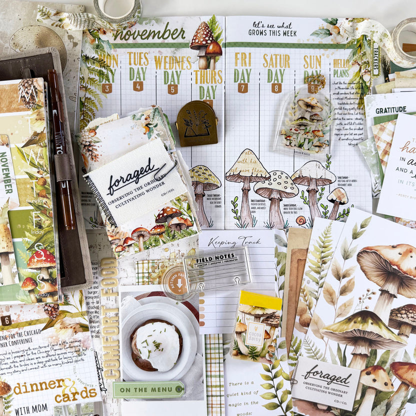 The Daisy Store – Cocoa Daisy