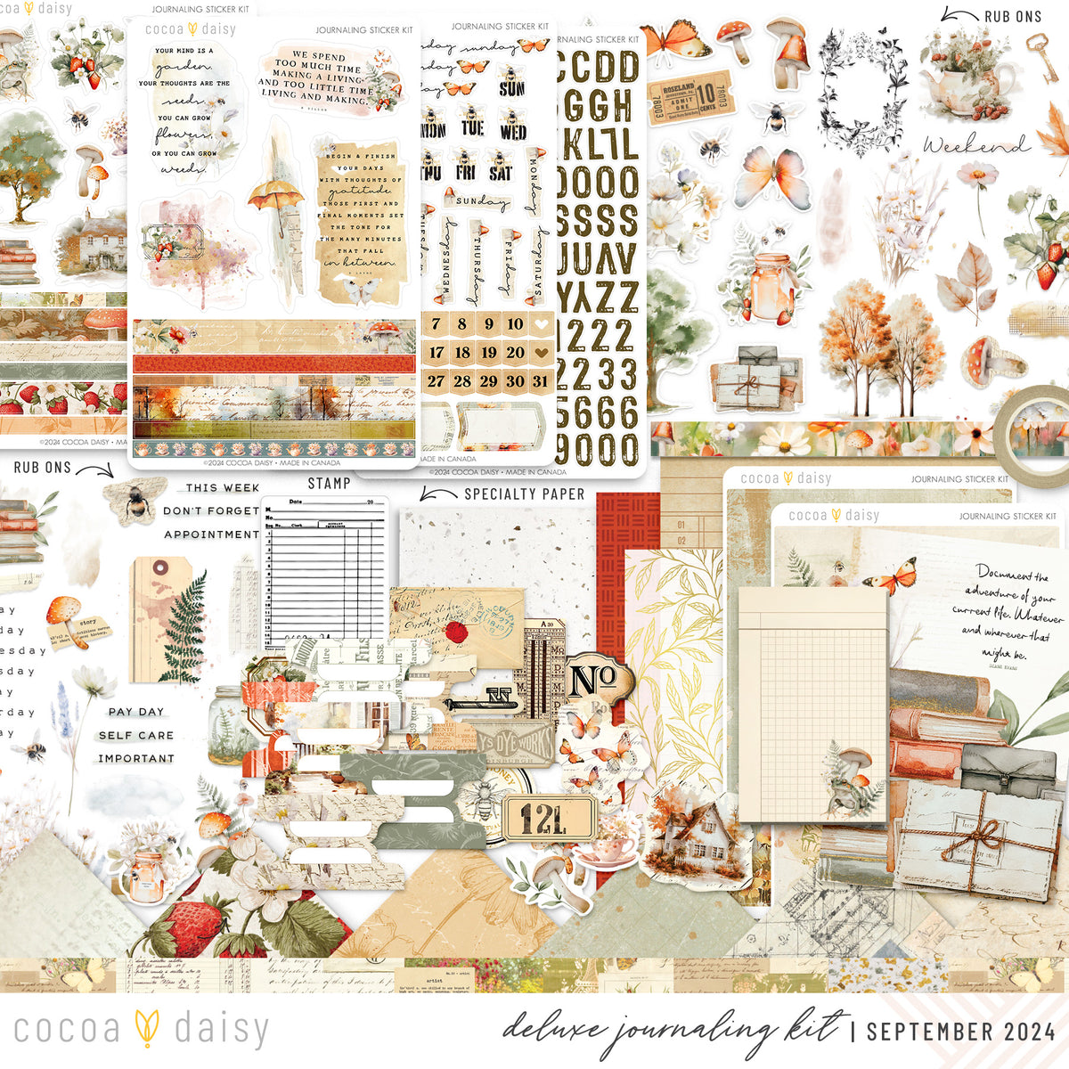 Subscribe – Cocoa Daisy